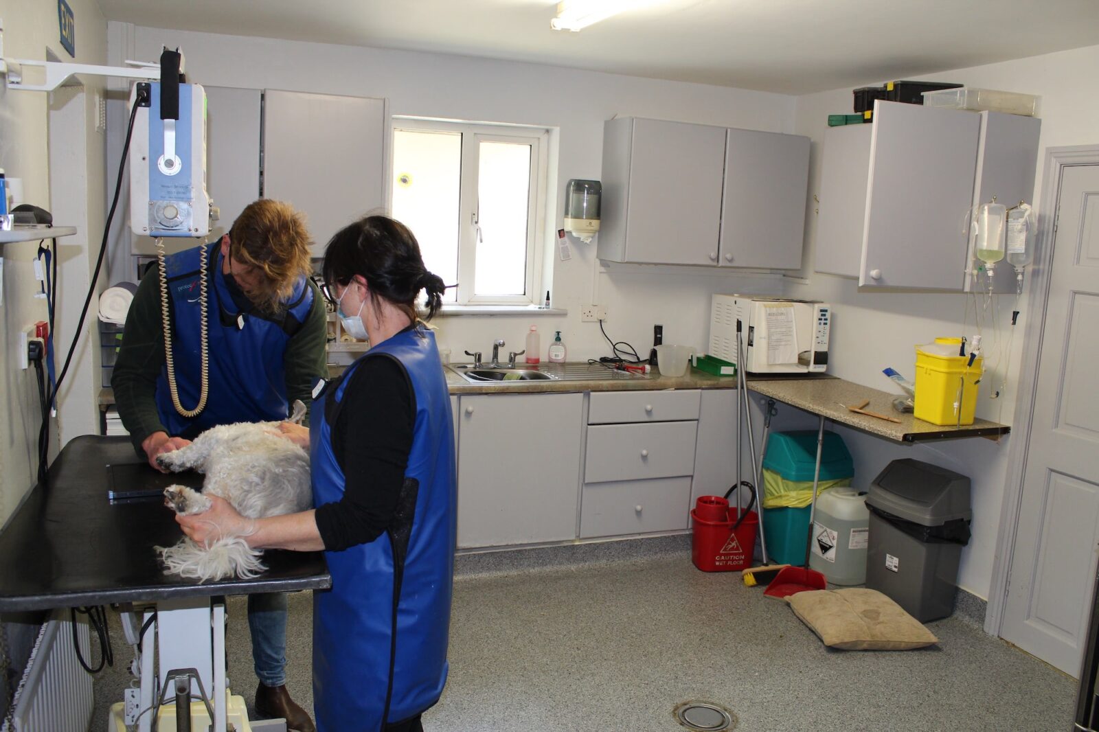 Veterinary Hospital - Barrow Veterinary Hospital - New Ross